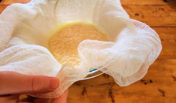 Easy Homemade Farmer’s Cheese Recipe: Russian Tvorog