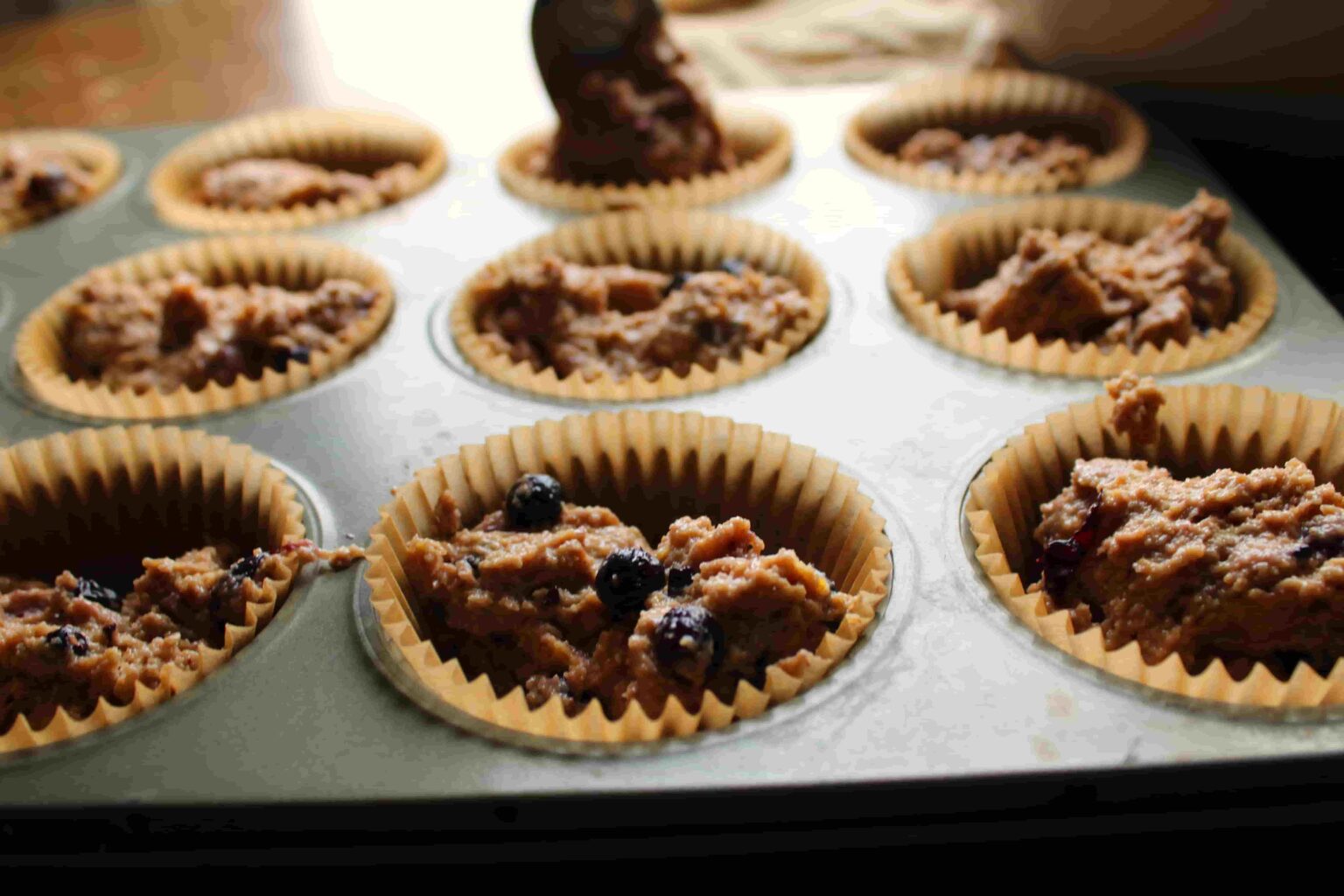 Wild Maine Blueberry Lemon Muffins (Sourdough Recipe)